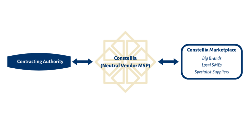 Public Sector & Utilities Solutions - Constellia