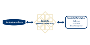 Public Sector & Utilities Solutions - Constellia
